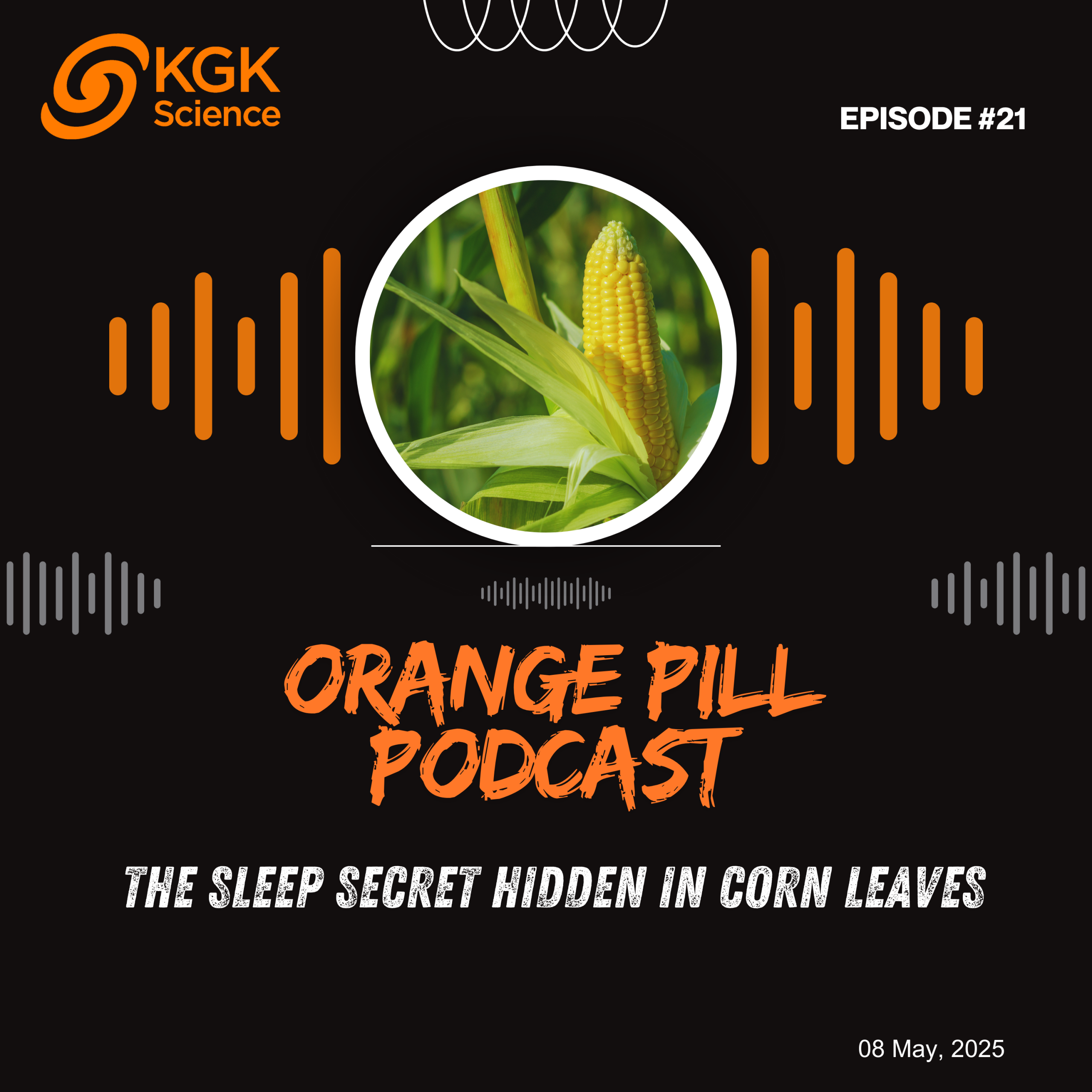 Episode 21: The Sleep Secret Hidden in Corn Leaves - KGK Science Inc.