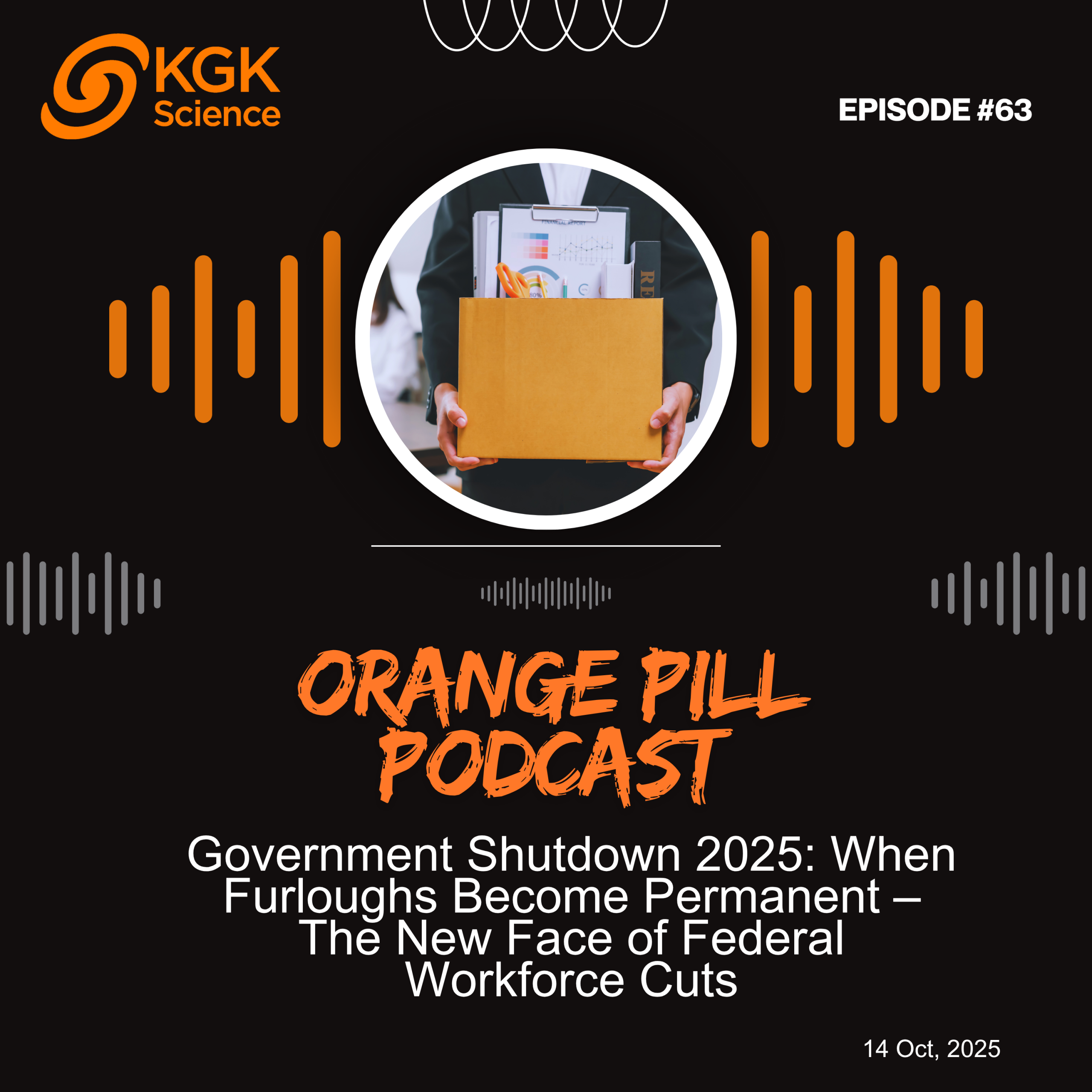Episode 63-Government Shutdown 2025: From Furloughs to Firings - KGK ...